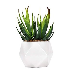 Shiny Flower Artificial Succulent Plants Artificial Aloe Plant Fake Succulent Plant in Ceramic Pot with 2 PCS Create Realistic Succulent Arrangements Floral Arrangement Gifts Home Office Decoration