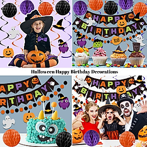 meowtastic Halloween Birthday Decorations - Happy Birthday Banner with Honeycomb Ball, Halloween Hanging Swirl Streamer, Circle Dot Garland Decorations - Halloween theme Birthday Party Decoration