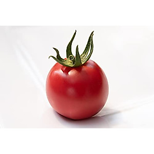 "Early Girl" Tomato Seeds for Planting, 25+ Seeds Per Packet, (Isla's Garden Seeds), Non GMO Seeds, Botanical Name: Solanum lycopersicum, 90% Germination Rate, Great Home Garden Gift