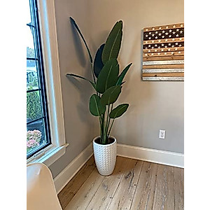 Silk Decor 5' Artificial Bird of Paradise Plant in Plastic Pot