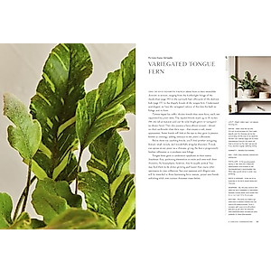 Terrain: The Houseplant Book: An Insider’s Guide to Cultivating and Collecting the Most Sought-After Specimens
