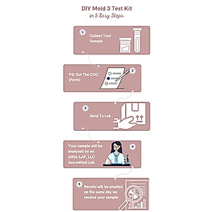 DIY Mold 3 Test Kit (Same Day Results) Expert Consultation and AIHA-LAP, LLC Accredited Lab Analysis Included
