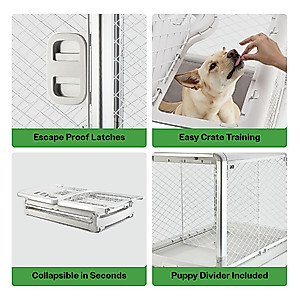 DIGGS Revol Collapsible Dog Crate with Wheels - Premium Portable Dog Crate - Safe, Stylish, and Convenient Indoor Kennel (Ash, Intermediate)