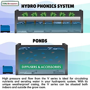 Blue Diamond Pumps V30 Aquarium Air Pump with 6 Outlet Manifold, Hydroponic Air Pump Aerator Will Oxygenate Your Fish Tank or Plant Life System, Designed to Run Several Air Stones from a Single Pump