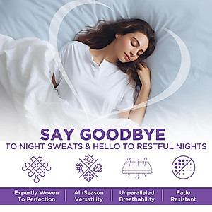 CharlottelyHues Luxury 100% Egyptian Cotton Bed Sheets - 1000 Thread Count 4-Piece King Sheets Set, Long Staple Cotton Bedding Sheets, Sateen Weave, Hotel Sheets, Fits Upto 18" Mattress - Sky Blue