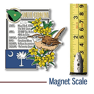 South Carolina State Montage Magnet by Classic Magnets, 2.8" x 3.3", Collectible Souvenirs Made in The USA