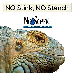 No Scent Reptile Tank Cleaner Spray & Pet Odor Management for Bearded Dragon, Turtle, Lizard Terrarium Freshener (2 Fl Oz / 59 mL)