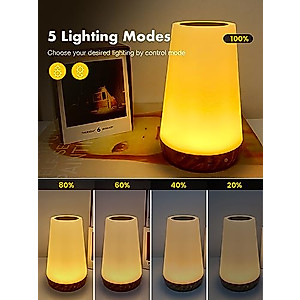 TLAOTNIY Dimmable Night Light Lamp, 𝘾𝙤𝙡𝙤𝙧 𝘾𝙝𝙖𝙣𝙜𝙞𝙣𝙜 𝘽𝙚𝙙𝙨𝙞𝙙𝙚 𝙉𝙞𝙜𝙝𝙩 𝙇𝙞𝙜𝙝𝙩𝙨 for Kids, Touch Sensor Control Table Light Lamp for Bedroom with Rechargeable Battery -Remote