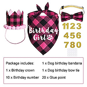JOTFA Dog Birthday Party Supplies, Plaid Dog Birthday Bandana Girl with Dog Birthday Number Crown Hat Bowtie for Small Medium Dogs Birthday Outfit (Pink, Bandana & Hat & Bow Tie & Number)