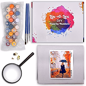 Lin-A-Lex DIY Paint by Numbers for Adults and Kids, Autumn Landscape - Rainy Day, Beginner Friendly Painting Kit with Soft Brushes, Acrylic Pigment Oils, Arts and Craft for Home
