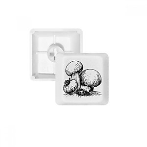 DIYthinker Yummy Creature Swamm Illustration Keycap Mechanical Keyboard PBT Gaming Upgrade Kit