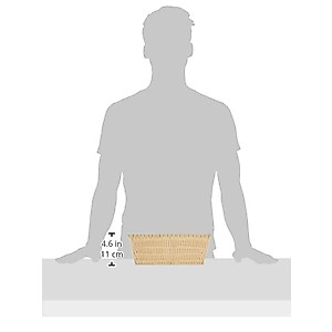 Whitmor Rattique Small Shelf Tote Latte (Pack of 2)