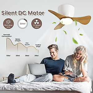 GESUM Flush Mount Ceiling Fans with Lights, 22'' Small Ceiling Fans Remote & APP Control, 3CCT Dimmable, Quiet DC Motor for Patio Kitchen Bedroom