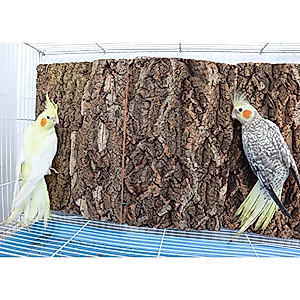 2 Pcs 12x8 Inches 100% Natural Cork Perch, Bird Cork Seat Boards, Birdcage Bark Decor Accessories, Natural Cork Bark Backdrop, Cork Bark Toy for Bird Budgie Parrot Cockatiel Hamster Guinea Pig Rat