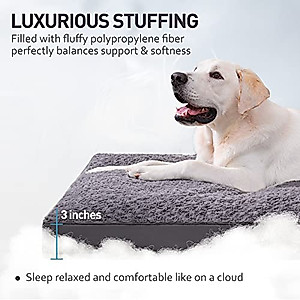 Dog Crate Bed Waterproof Dog Beds for Medium Dogs Rose Velvet Soft Fluffy Washable Dog Bed with Removable Cover & Anti-Slip Bottom, 35 x 22 Inch, Gray
