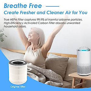 Flintar VK-6067B H13 True HEPA Replacement Filters, Compatible with Vremi and HOKEKI VK-6067B Air Purifier, 3-in-1 H13 Grade True HEPA and Activated Carbon Filter Set (2 - Set)