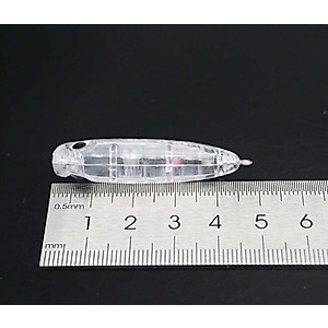 10PCS Unpainted Lure Blanks 2.81g 4.8cm with Free 6mm Eye Crankbait Simulation Blank Body Clear Hard Baits Trout Salmon Minnow Lure Popper Lures Topwater Freshwater 8440