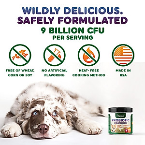 Primova Pet Products - Probiotic Dog Chews for Dog Digestive Enzymes - Dog Diarrhea & Natural Allergy Relief - Puppy Probiotic Chews - Dog Allergy Chews - Pack of 120 Chews