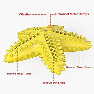 lifein Dog Chew Toy - Squeaky Toothbrush Durable Rubber Dog Toys for Teeth Cleaning, Tough Dog Toys for Aggressive Chewers Puppy/Medium/Large Dog Breeds Dental Care