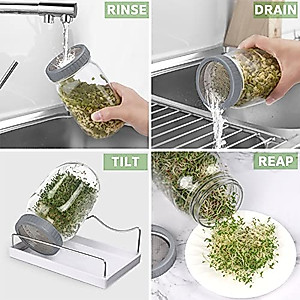 Complete Sprouting Jar Kit| 2 Wide Mouth Mason Jars, 316 Screen Sprout Lids, Blackout Sleeves, Tray, Stand| Sprouter Set for Growing Broccoli, Alfalfa and More-Seeds not Included