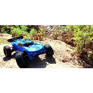 Redcat Racing Piranha-TR-10 Piranha Tr10 Truggy, Blue