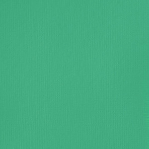 Liquitex BASICS Acrylic Paint, 250ml (8.5-oz) Tube, Bright Aqua Green