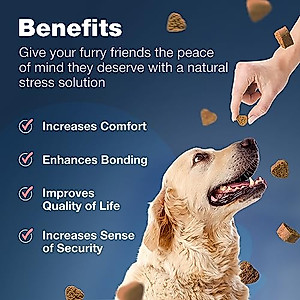 CHEWIA Flea & Tick Prevention Chews for Dogs - 180 Soft Duck Flavor Chews - Natural Dog Flea and Tick Supplement - Flea and Tick Prevention Pet Supplies for Dogs of All Breeds, Ages & Sizes