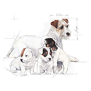 Royal Canin Babydog Puppy Milk 400g [Misc.]