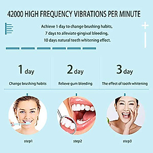 Sonic Electric Toothbrush Rechargeable Ideal for Adults Children, 6 Optional Modes IPX7 USB Fast Charging Electric Ultrasonic Toothbrush with 2 min Build in Timer & 4 Replacement Brush Heads（Black）