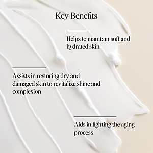 DIME Beauty Restorative Night Cream, Facial Moisturizer with Ceramides and Sea Buckthorn, 1.7 oz / 50 ml