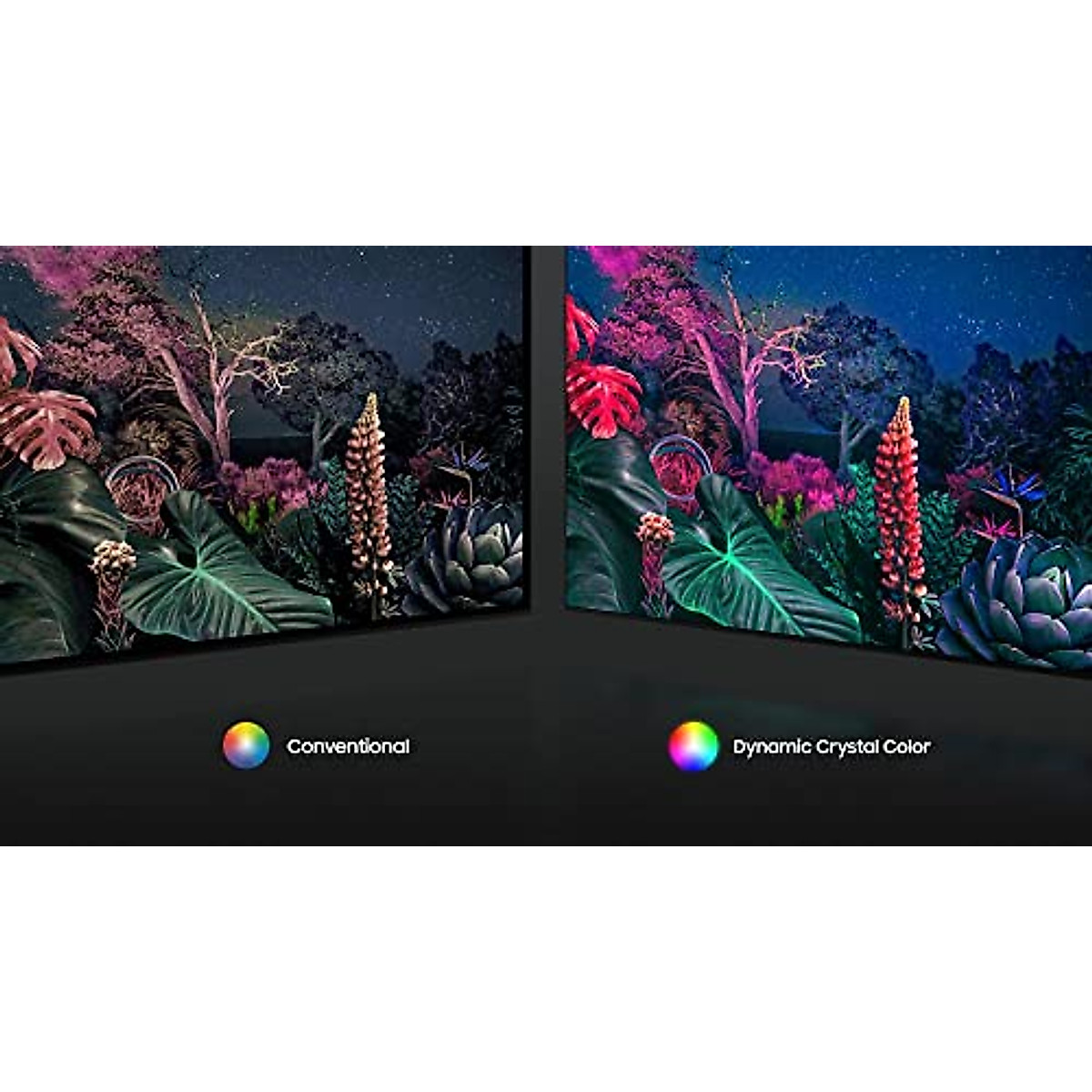 SAMSUNG QN75QN800BFXZA 75" 8K QLED Quantum Mini LED HDR Smart TV with a Additional 1 Year Coverage by Epic Protect (2022)