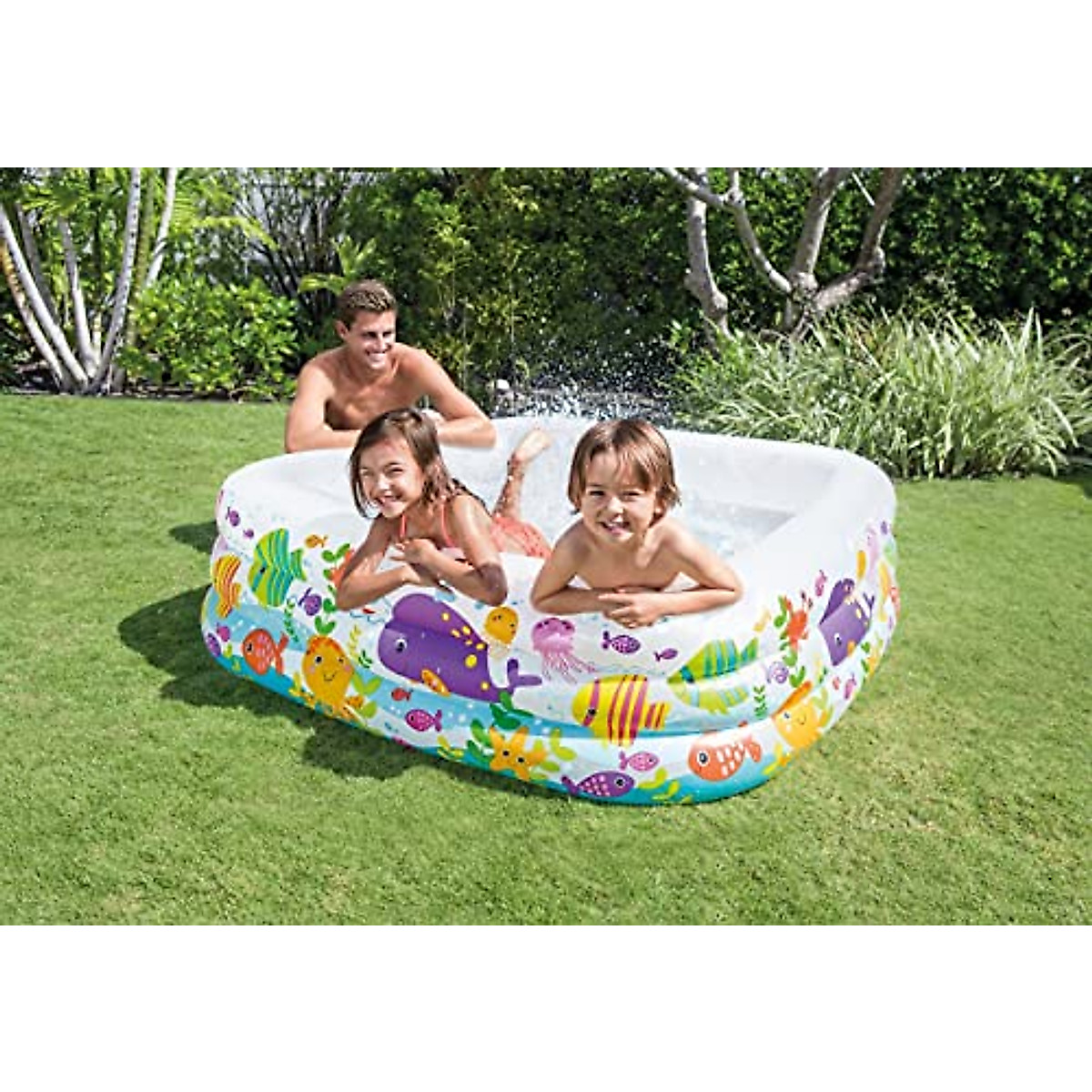 Intex Swim Center Clearview Aquarium Inflatable Pool, 62.5" X 62.5" X 19.5", for Ages 3+