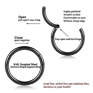 Conch Hoop Ring Hinged Segmet Clicker Seamless Nose Rings Hoops 316L Surgical Steel Rose Gold Septum Jewelry 16G Cartilage Tragus Earrings Helix Rook Daith Ring Lobe Lip Hoop Piercing Jewelry 10mm