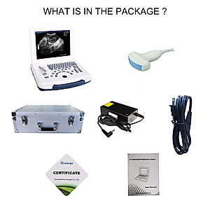 DAWEIanimed Veterinary Ultrasound Scanner Laptop Ultrasound Machine with 3.5Mhz Convex Probe for Animals Dog,Goat,Pig,Sheep use