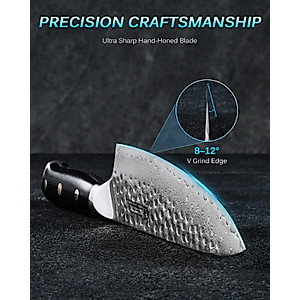 KYOKU Gin Series Chef Knife, 8" All Purpose Kitchen Knife, Japanese VG10 Damascus Stainless Steel Knife with Silver Ion Blade G10 Handle Mosaic Pin, Professional Knife for Meat Fruit Vegetables