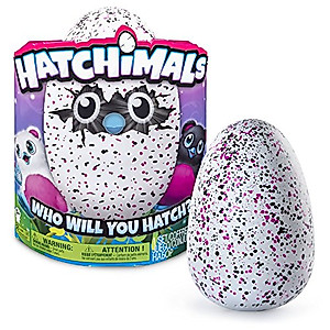 Hatchimals - Hatching Egg - Interactive Creature - Bearakeet - Pink/Black Egg - Target Exclusive by Spin Master