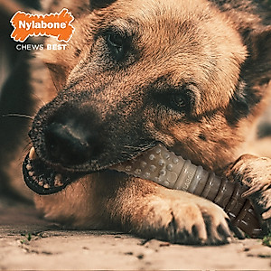 Nylabone Power Chew Camo Dog Toy - Dog Toys for Aggressive Chewers - Indestructible Dog Toys for Aggressive Chewers Large Breed - For Extra Large Dogs - Chicken Flavor X-Large/Souper - 50+ lbs.