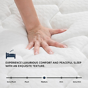MOLBIUS Queen Mattress 10 Inch | Queen Size Hybrid Mattresses in a Box | Medium Firm Feel Memory Foam and Individual Pocket Springs | Fiberglass Free Bed Matress | Breathable | CertiPUR-US | Upgrade