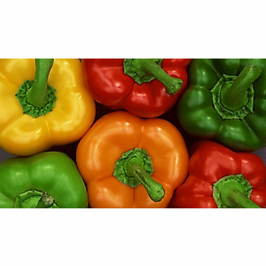 NIKA SEEDS - Seeds Vegetable Sweet Bell Pepper Rainbow Mix - 30 Seeds