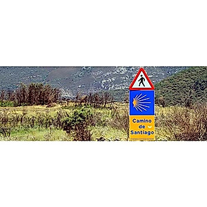 CafePress El Camino De Santiago De Compostela, Spain, S Mugs Ceramic Coffee Mug, Tea Cup 11 oz