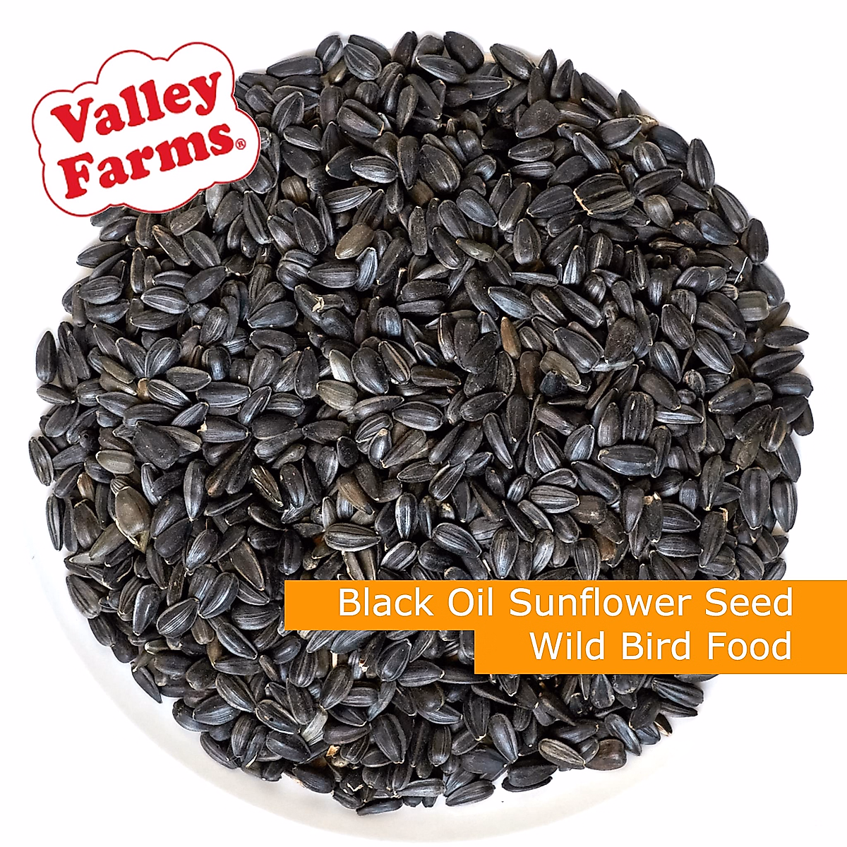 Valley Farms Black Oil Sunflower Seed Wild Bird Food for Outside Feeders, Wild Bird Seed for Outside Feeders, Birdseed (3 LBS)