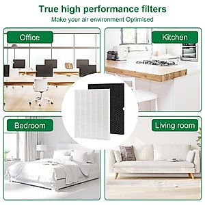 Laukowind 116130 Filter H Replacement for Winix 5500-2 Air Purifier and Models AM80-2, Includes 1 Pack Ture Filters and 1 Pack Activated Carbon Pre-filters (1 Sets)