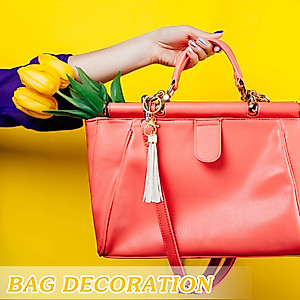 Hicarer 12 Pieces Leather Tassels Keychain Key Rings Circle PU Leather Tassel for Women Tassel Keychain Bulk Tassels Lanyard Key Chain Holder with Lobster Swivel Bag Pendant Accessories Key Wallet