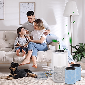 F300 Filter Compatible with Instant AP300 Air Purifi-er, 4-Stage Filtration with H13 Grade True HEPA Filter and Activated Carbon Filter, Compare to F300 Filter, 2 Pack