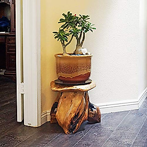 WELLAND Tree Stump Stool Live Edge, Natural Edge Side Table, Plant Stand, Nightstand, Mushroom Stool 14" Tall