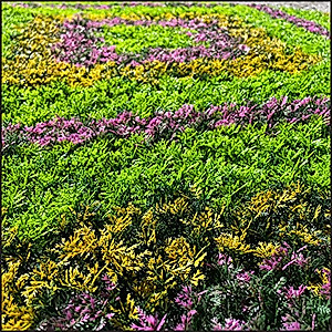 Artificial Ivy Privacy Fence Screen. 12 Panels 20x20 in. Artificial Flower Wall Fence Top Mediterranean Fern & Faux Ivy Vine Leaf Grass Decoration for Outdoor and Indoor