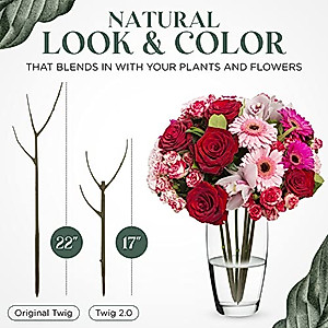 Twigs GA - Monstera Show & Grow Pack. Great Alternative for Moss Pole Plants Monstera. Blends in to Plant, no Ties/Wires. 17” Stackable. Made USA (Stackable Twig (5 Pack), Green)