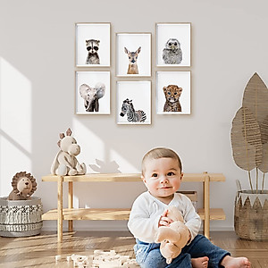 Designs by Maria Inc. Set of 6 UNFRAMED Woodland Nursery Decor Animal Posters | Zoo Theme Baby Room Decorations | Safari Jungle Nursery Wall Art Prints | Baby Animals Prints Nursery Decor Set (8"x10")