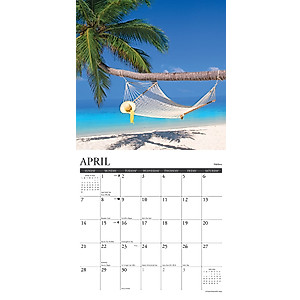 Willow Creek Press Ah, The Beach! Monthly 2024 Wall Calendar (12" x 12")