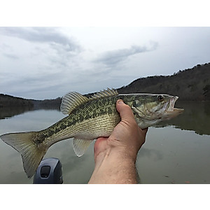 CountryMax Floating Sportfish Game Fish Food 32% Protein for Pond and Lakes, Extruded Feed for Bluegill, Catfish, Minnows, Bass, Carp (7 Pounds)